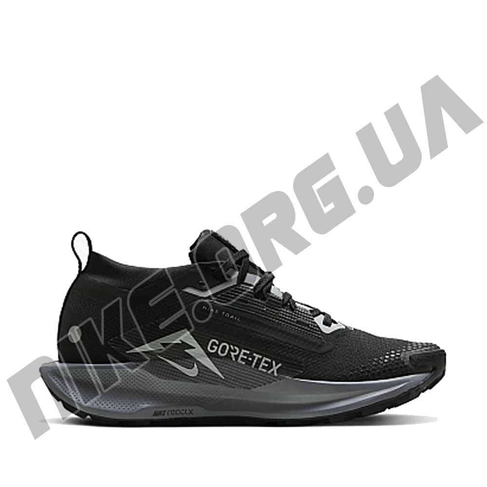 NIKE PEGASUS TRAIL 5 GORE-TEX BLACK FQ0912-001