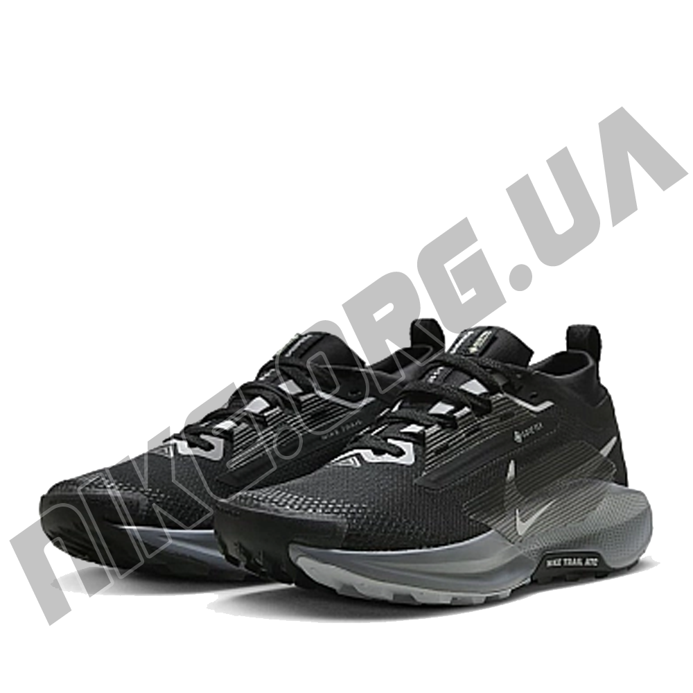 NIKE PEGASUS TRAIL 5 GORE-TEX BLACK FQ0912-001